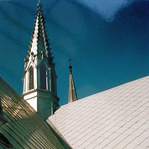 Diamond shingles - Fish Scale shingles - Dragon Scale Shingles - Beaver ...